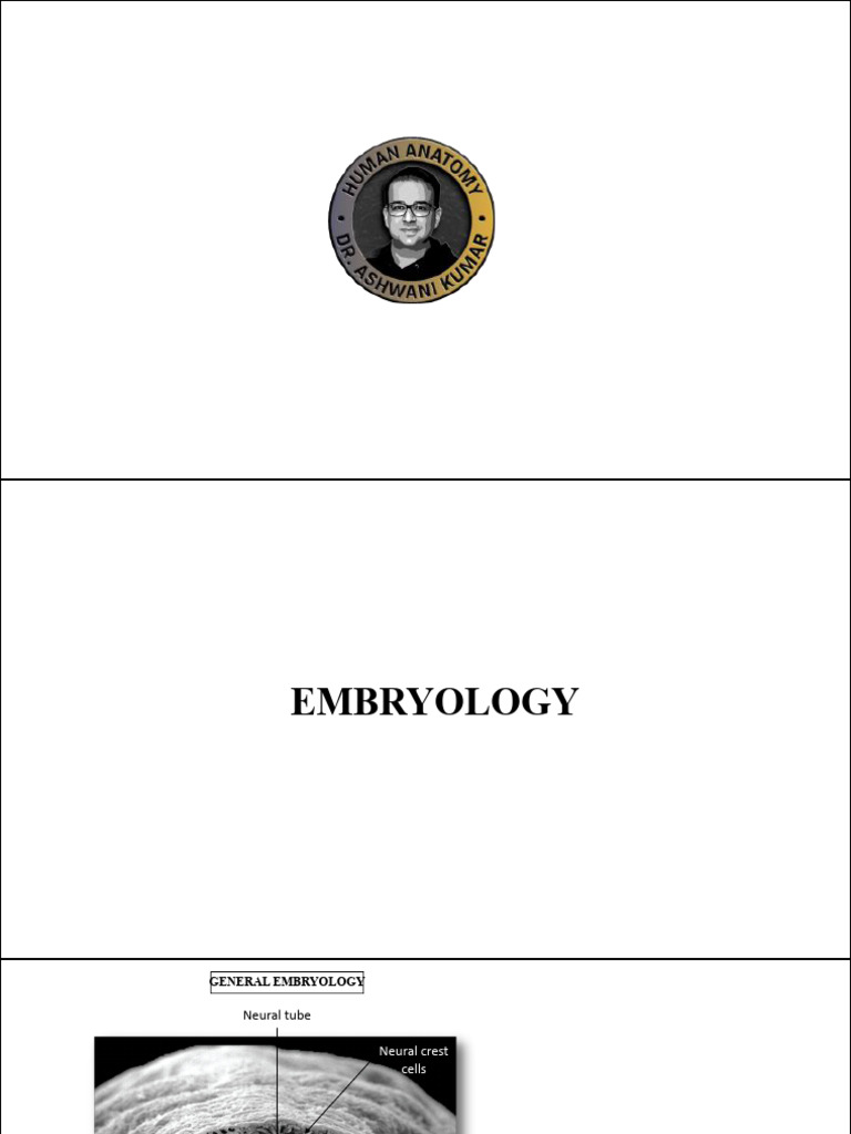 Anatomy One Shot PDF | PDF | Vein | Aorta