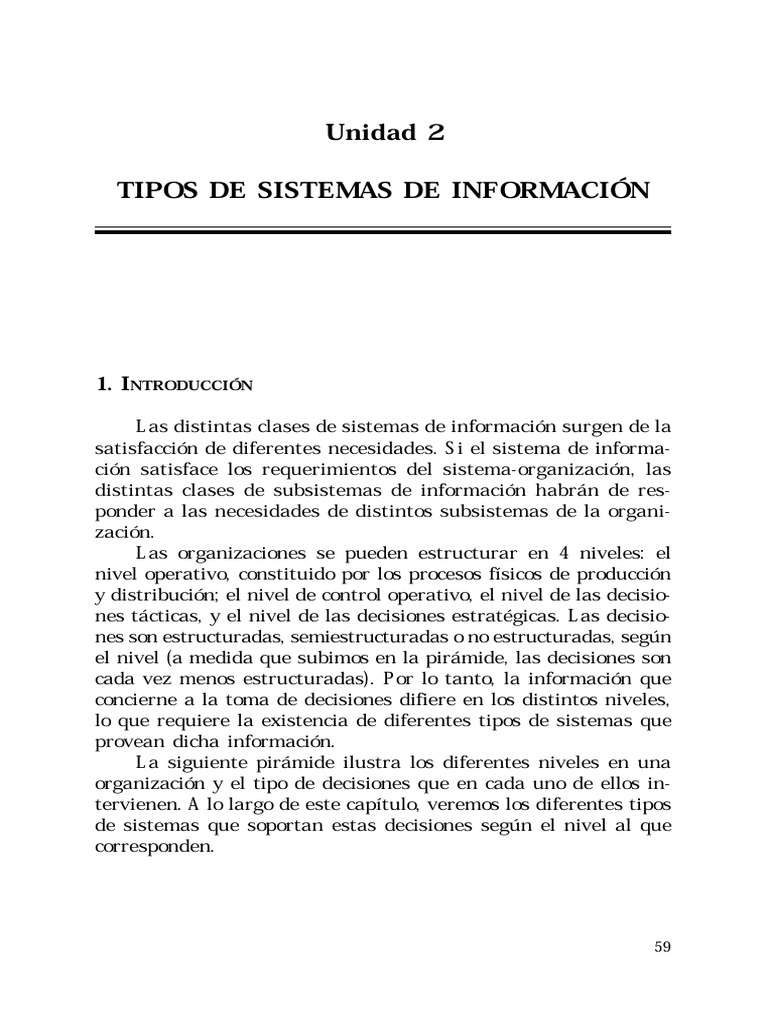 U 2 Tipos de Sistemas de Información: Nidad | PDF | Planificación de ...