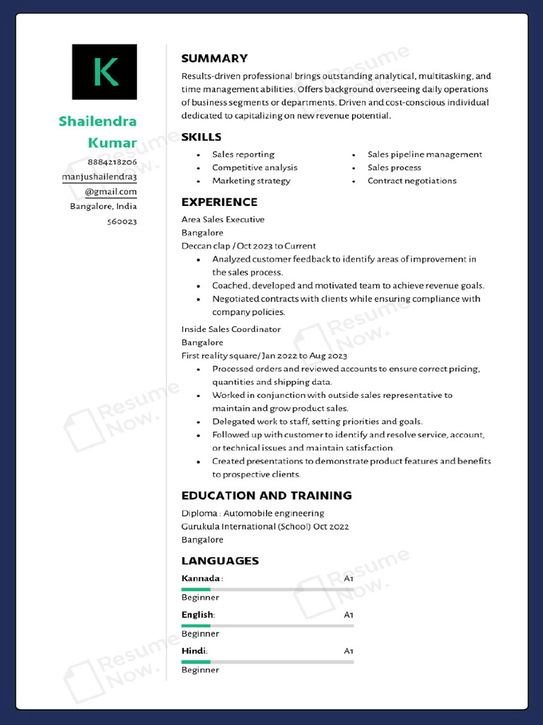 Finalize Resume - Resume Now | PDF