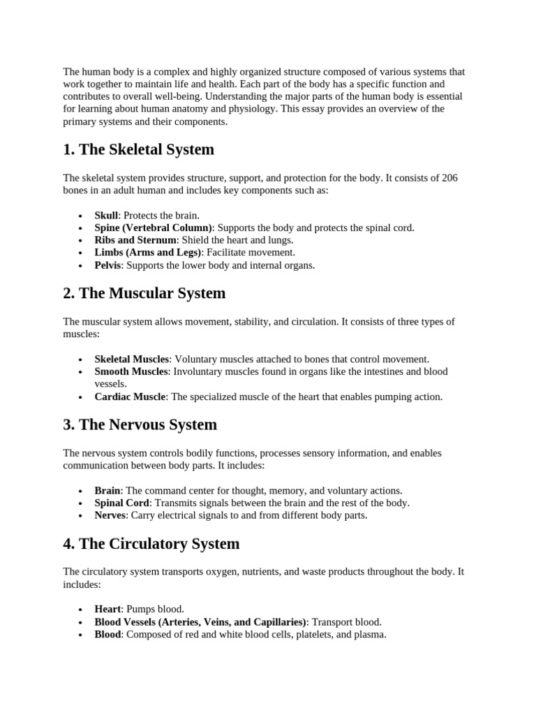 The Human Body An Overview of Its Parts and Functions | PDF | Human ...