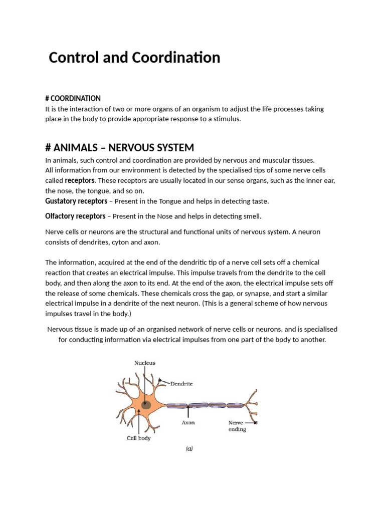 Control and Coordination Textbook Summarized | PDF | Central Nervous ...