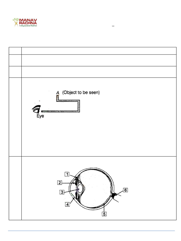 Grade VIII Science Practice Worksheet - 1 2024-2025 | PDF | Refraction | Eye