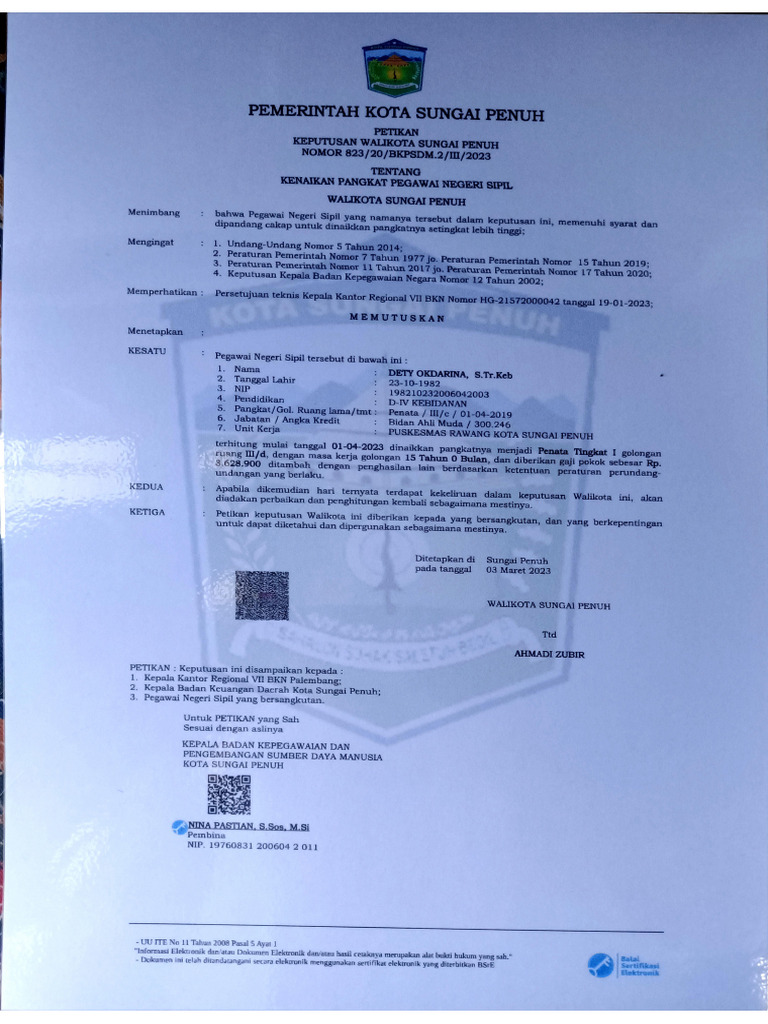 SK 3d Dety Okdarina | PDF