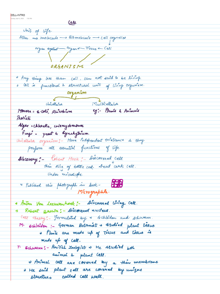 Cell Intro | PDF