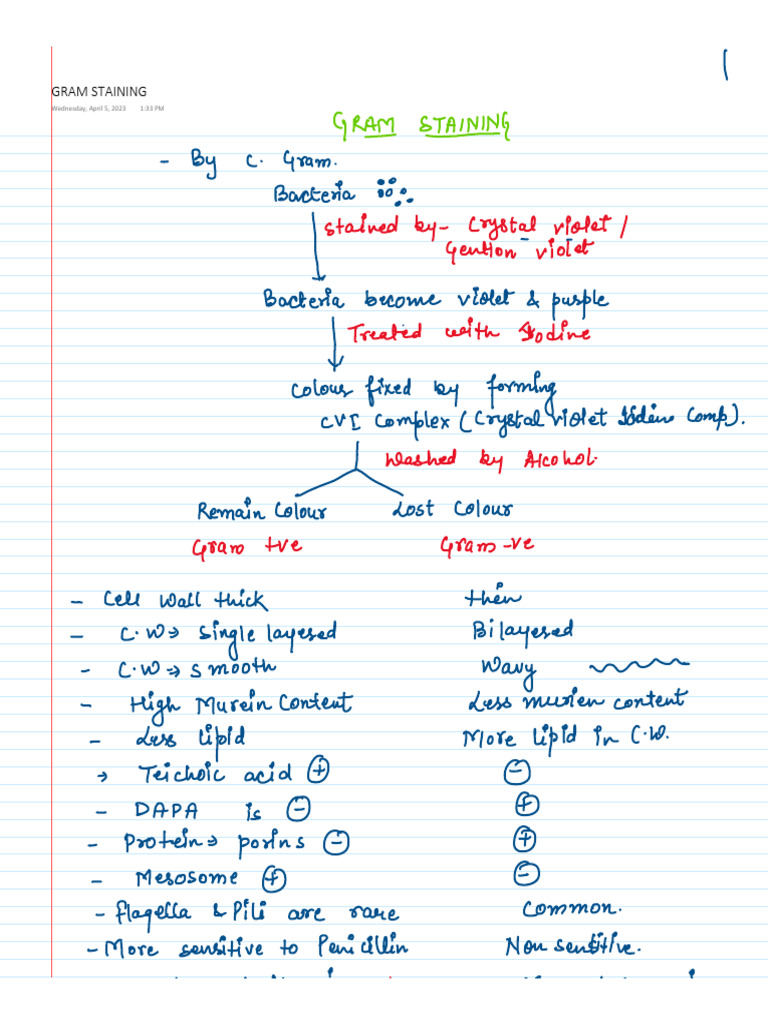 Gram Staining | PDF