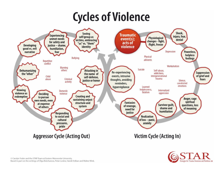 STAR Cycles of Violence Model | PDF