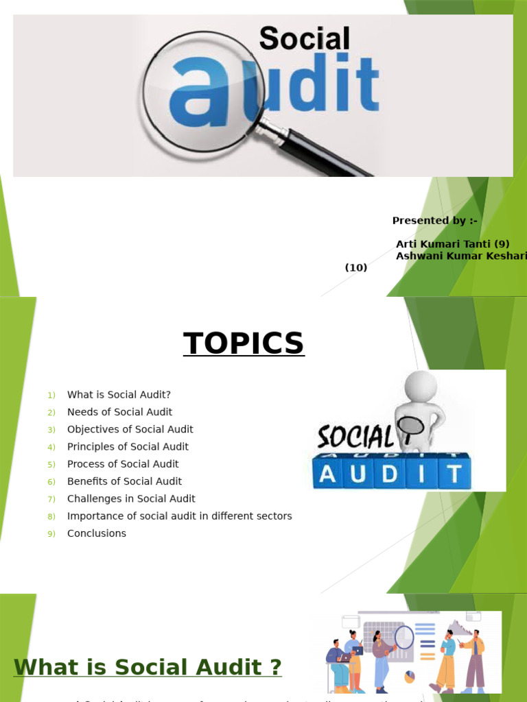 Social Audit (1) | PDF | Audit | Reputation