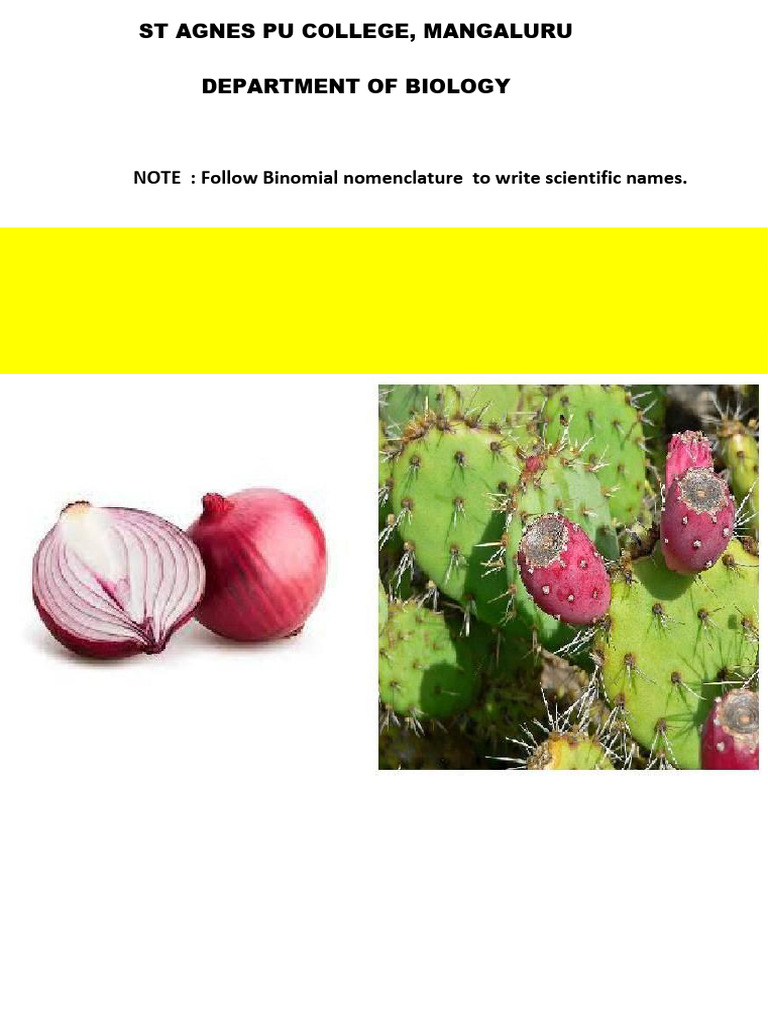 Homologous and Analogous Organs | PDF