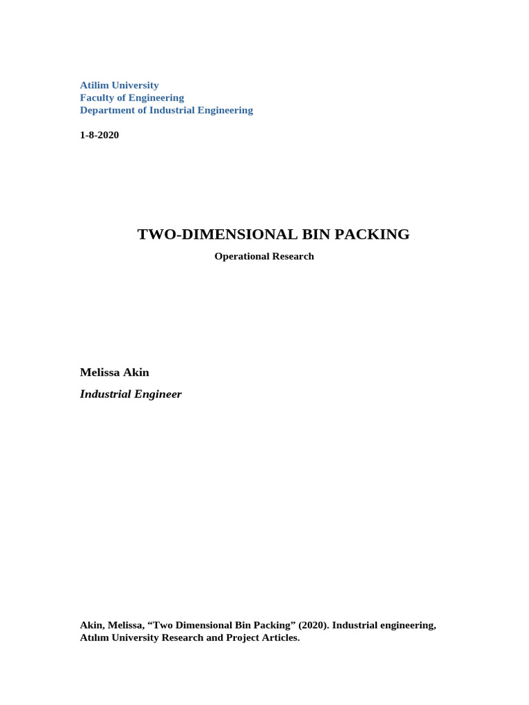 Industrial Bin Packing Solutions | PDF | Mathematical Optimization | Sustainability