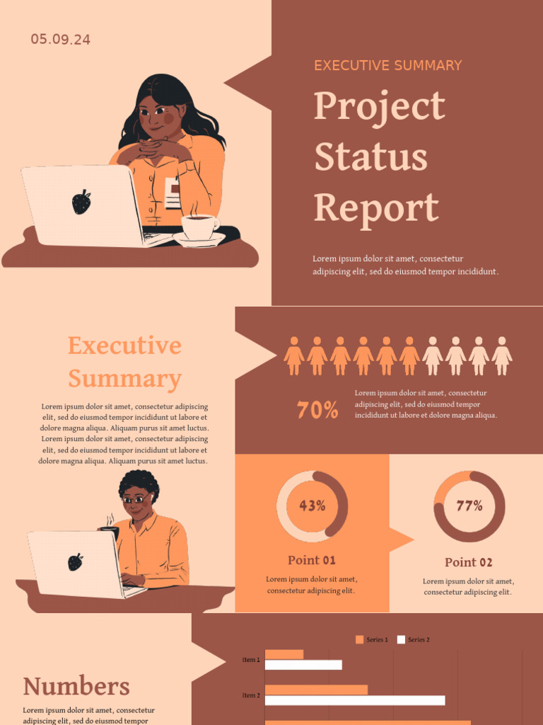 Project Status Report Executive Summary Slides | PDF