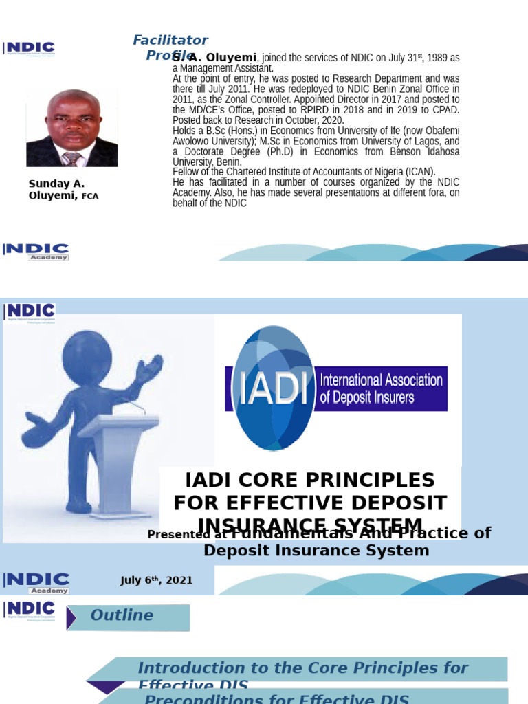 IADI Core Principles for Effective DISs | PDF | Banks | Regulatory ...