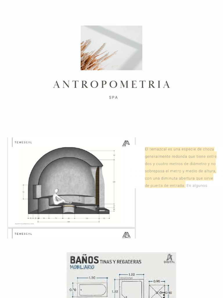ANTROPOMETRIA | PDF