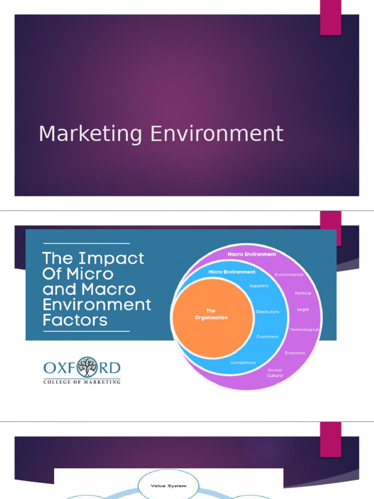 Micro and Macro Marketing Enironment | PDF | Marketing | Economies