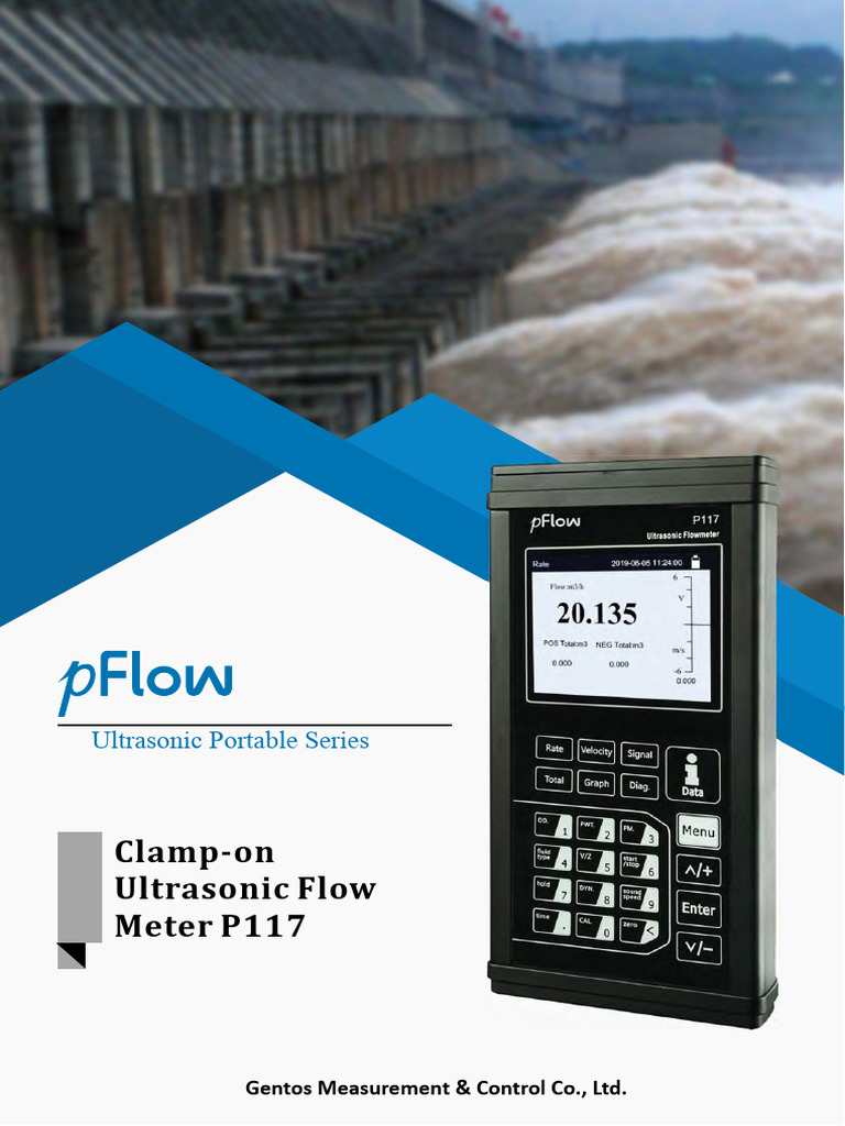 P117 Portable Flow Meter - Catalog | PDF | Flow Measurement | Transmitter
