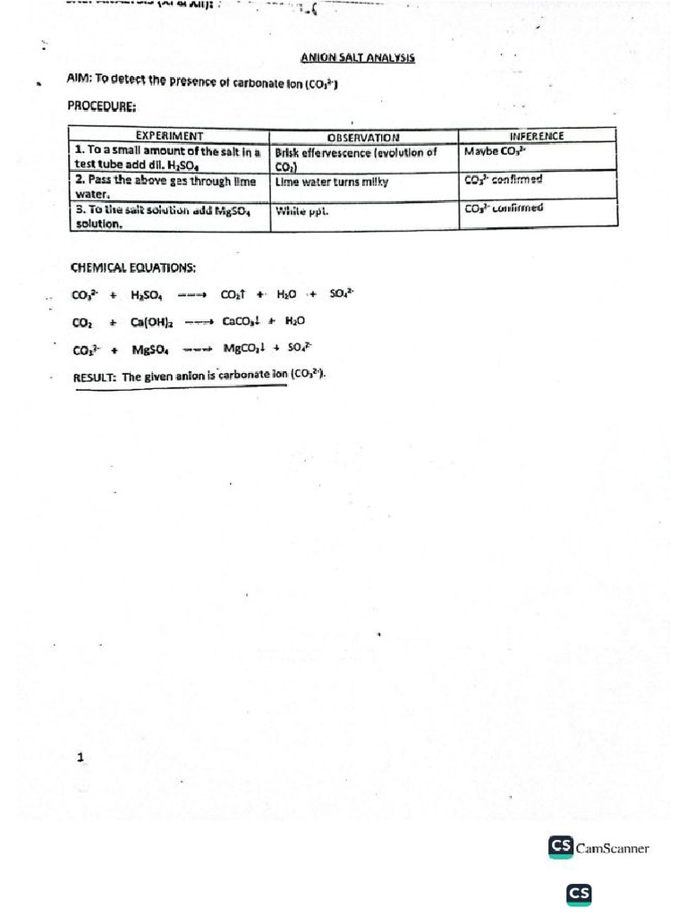 Anions & Cations - 022225 | PDF