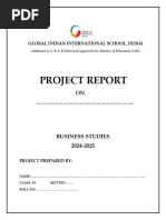 EVS Project Front Page | PDF