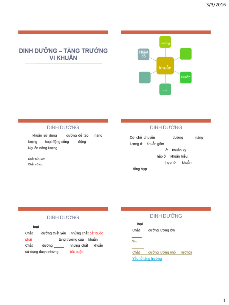 3 Dinh Duong VI Khuan | PDF