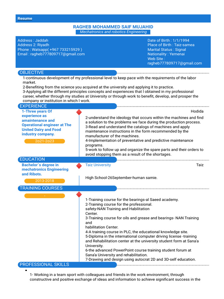 Resume (١٢-٢٥) (٠٣ ٣٨ ٢٠) -10 | PDF | Mechatronics | Computing
