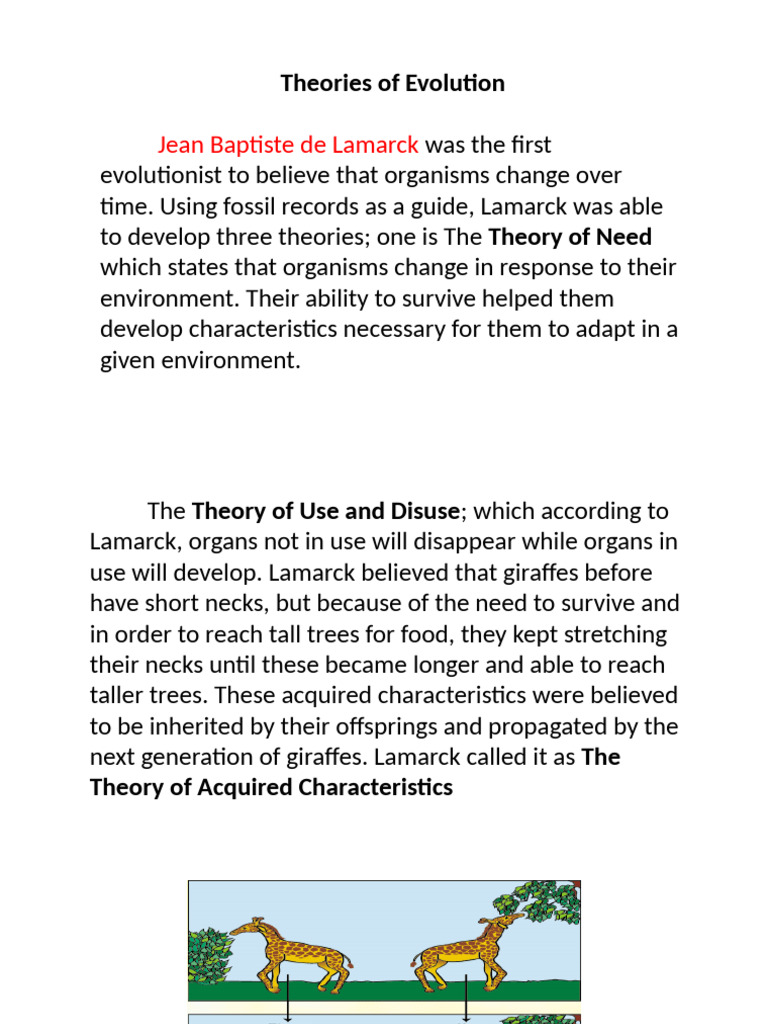 Theories of Evolution Lamarck and Darwin | PDF | Natural Selection ...