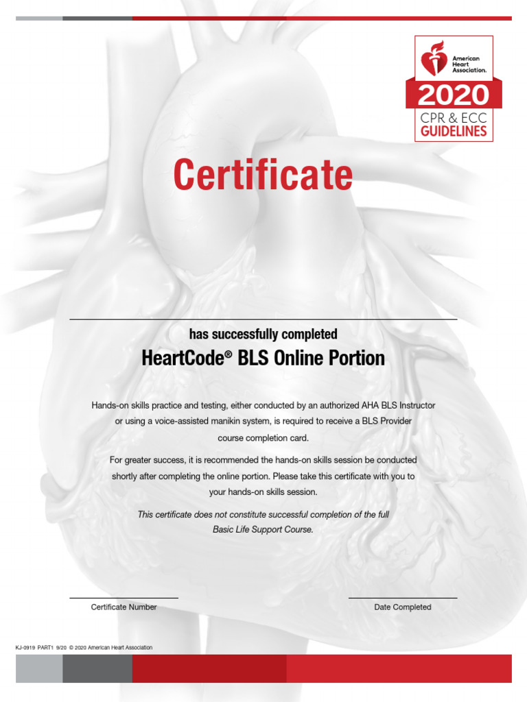 Certificado BLS | PDF