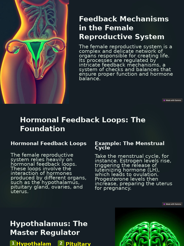 Feedback Mechanisms in The Female Reproductive System | PDF | Menstrual ...