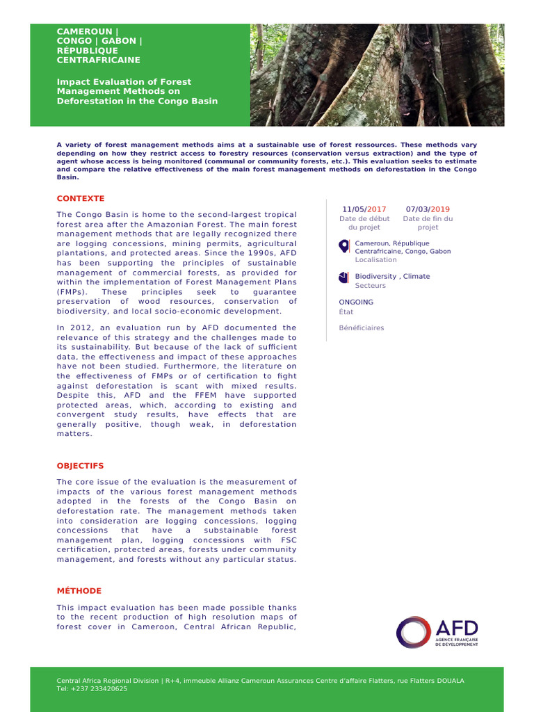Impact of Forest Management on Deforestation | PDF | Forest Management ...