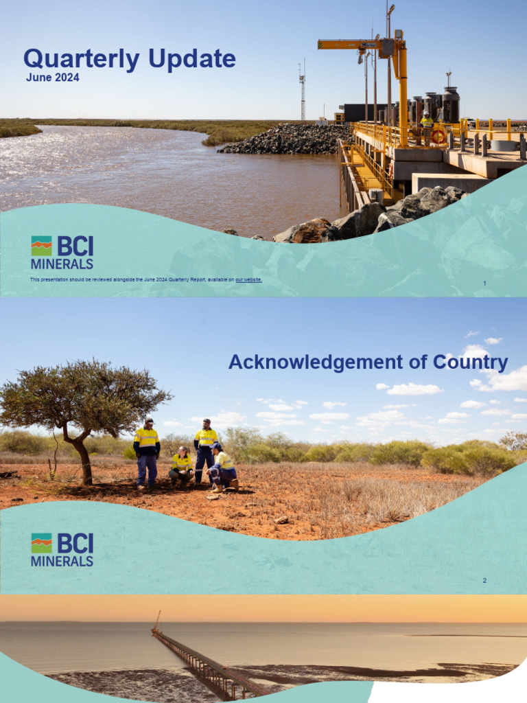 Perusahaan BCI Minerals, Realisasi Caturwulan | PDF | Legal Liability | Feasibility Study