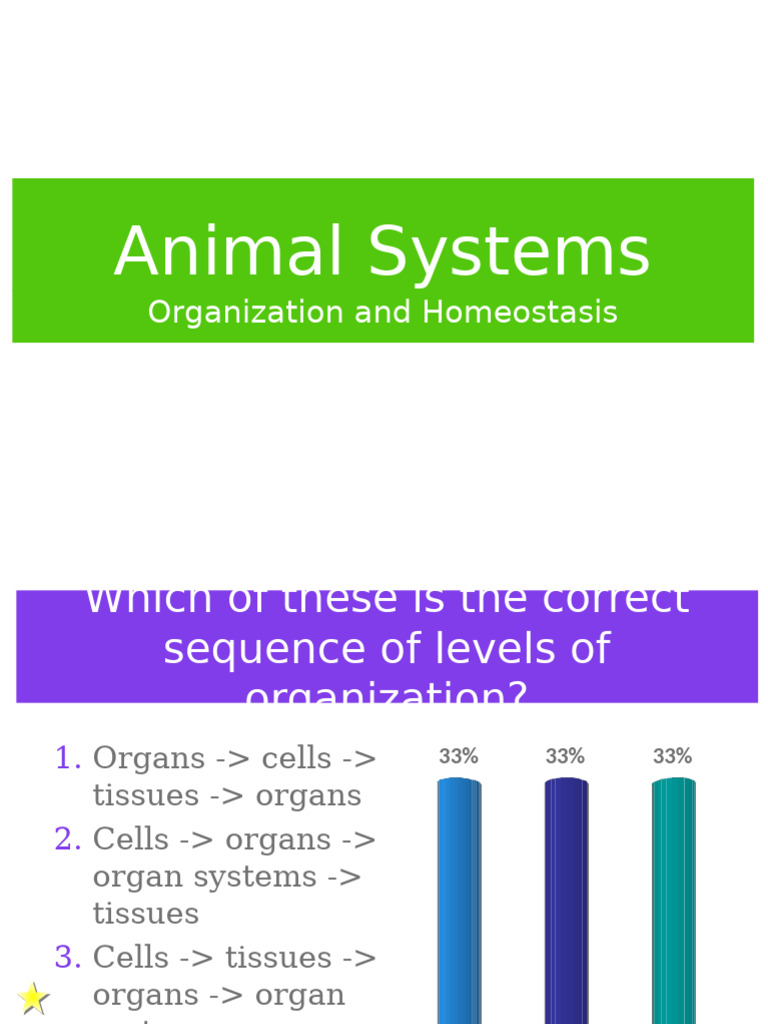 Animal Systems | PDF | Human Body | Homeostasis