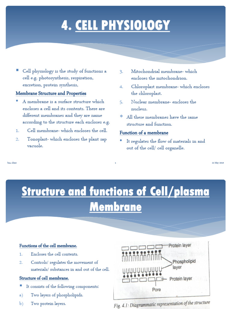4. Cell physiology | PDF | Osmosis | Cell Membrane