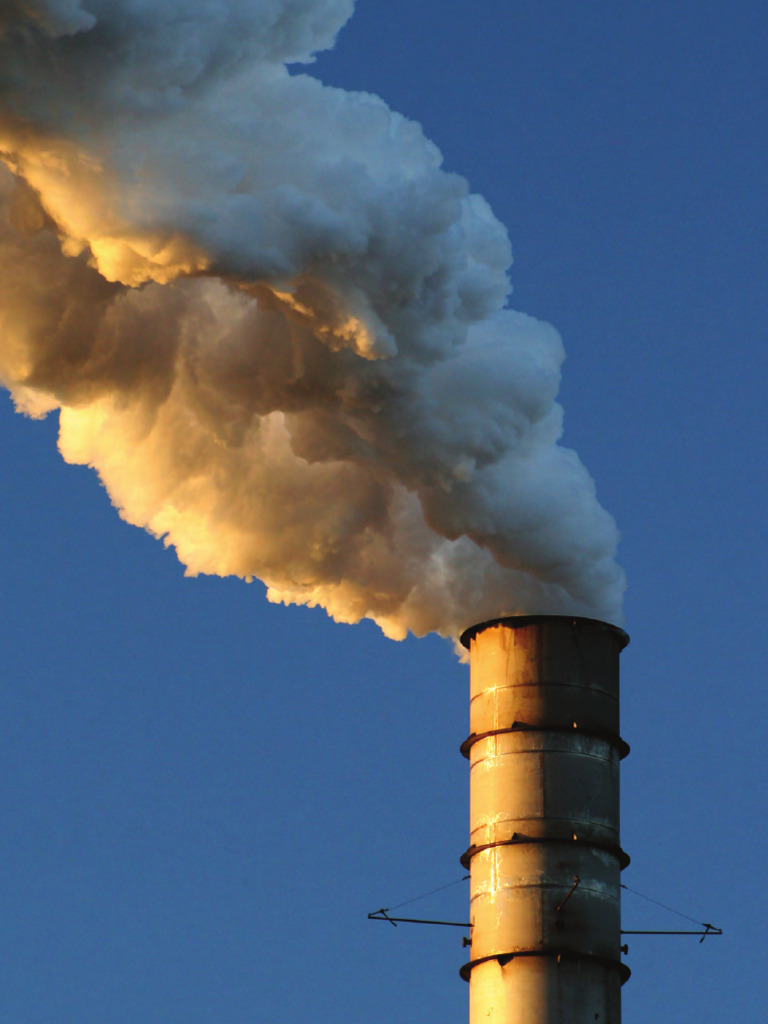 Air Pollution: Physician's Role | PDF | Air Pollution | Particulates