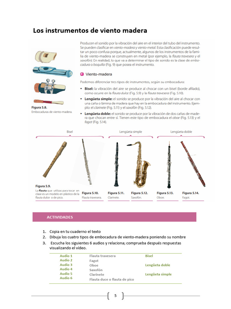 Instrumentos de Viento Madera: Guía y Actividades | PDF