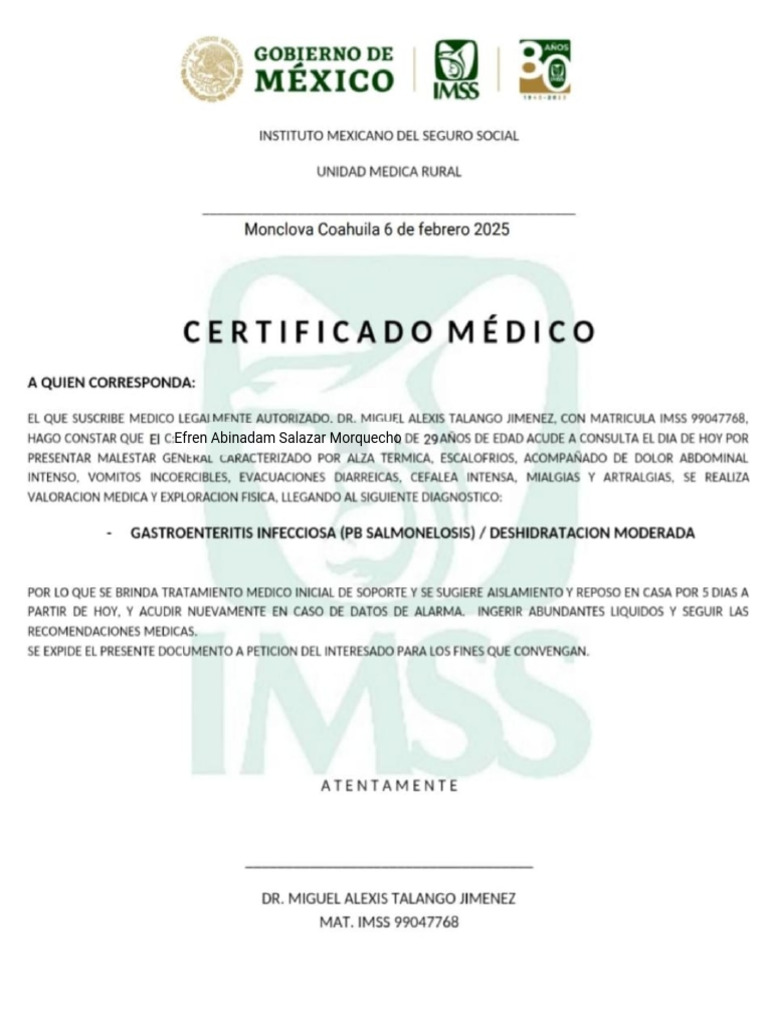 justificante efren Salazar | PDF