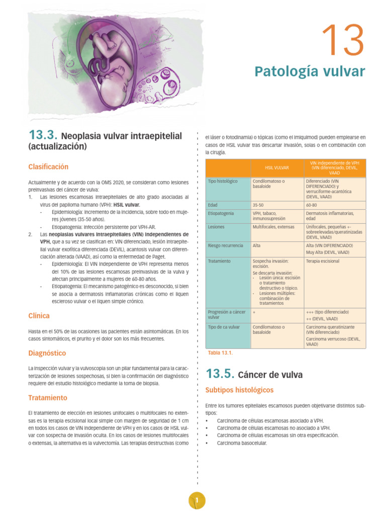 Patología Vulvar: Neoplasia Vulvar Intraepitelial (Actualización) | PDF ...