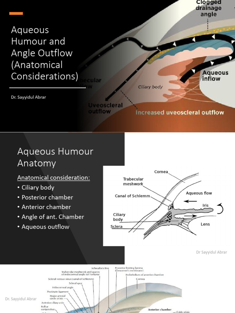 AH and Angle | PDF | Vein | Human Eye