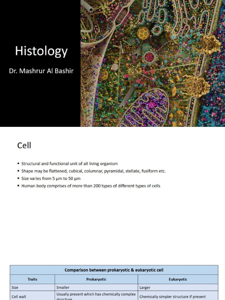 Histology & Cell Biology 11.08.22 | PDF