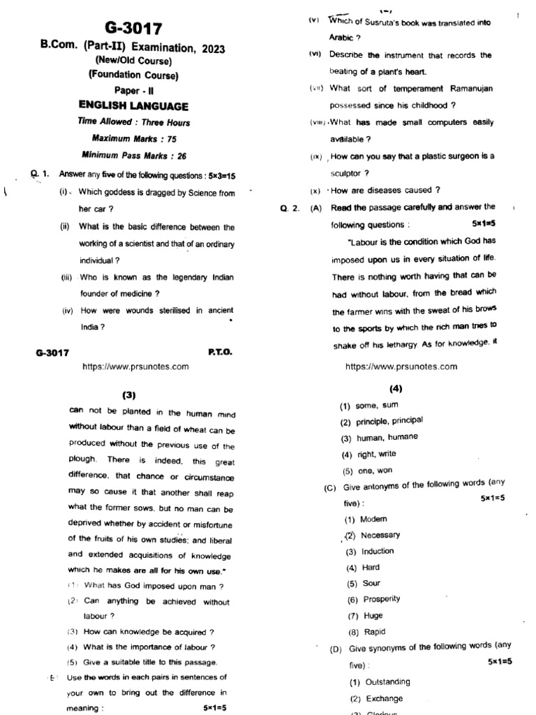 English (PYQP) | PDF