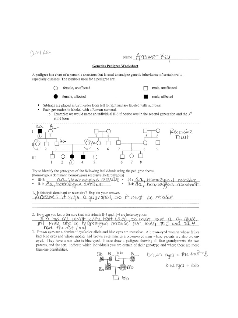 Genetics Pedigree Practice Key | PDF
