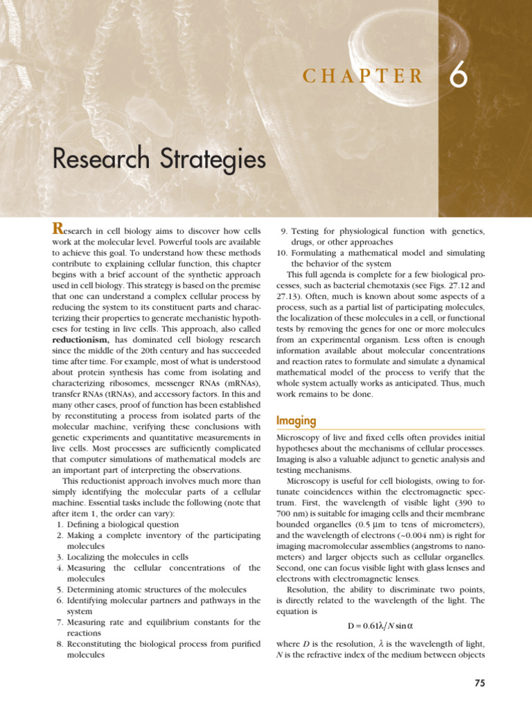 6 Research Strategies | PDF | Microscopy | Fluorescence Microscope