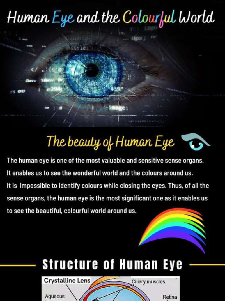human eye | PDF