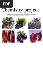 Beetroot as Acid-Base Indicator Experiment | PDF