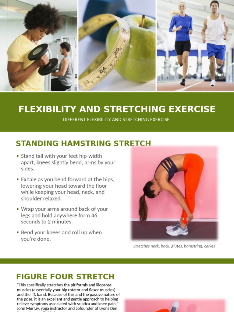 Essential Flexibility and Stretching Guide | PDF | Anatomical Terms Of ...