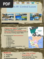 Traditional Delicacies of South Cotabato | PDF