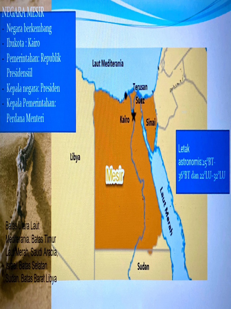 Flora dan Fauna Mesir | PDF