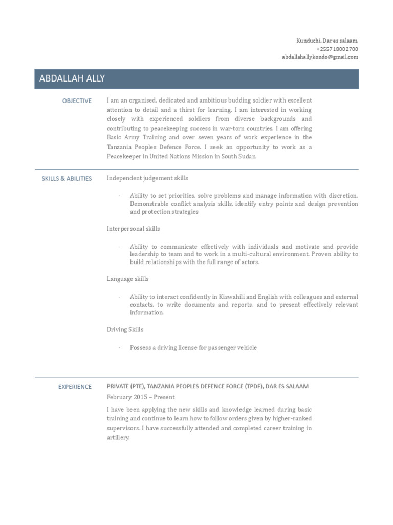 CV Abdallah Ally | PDF | Tanzania | Learning