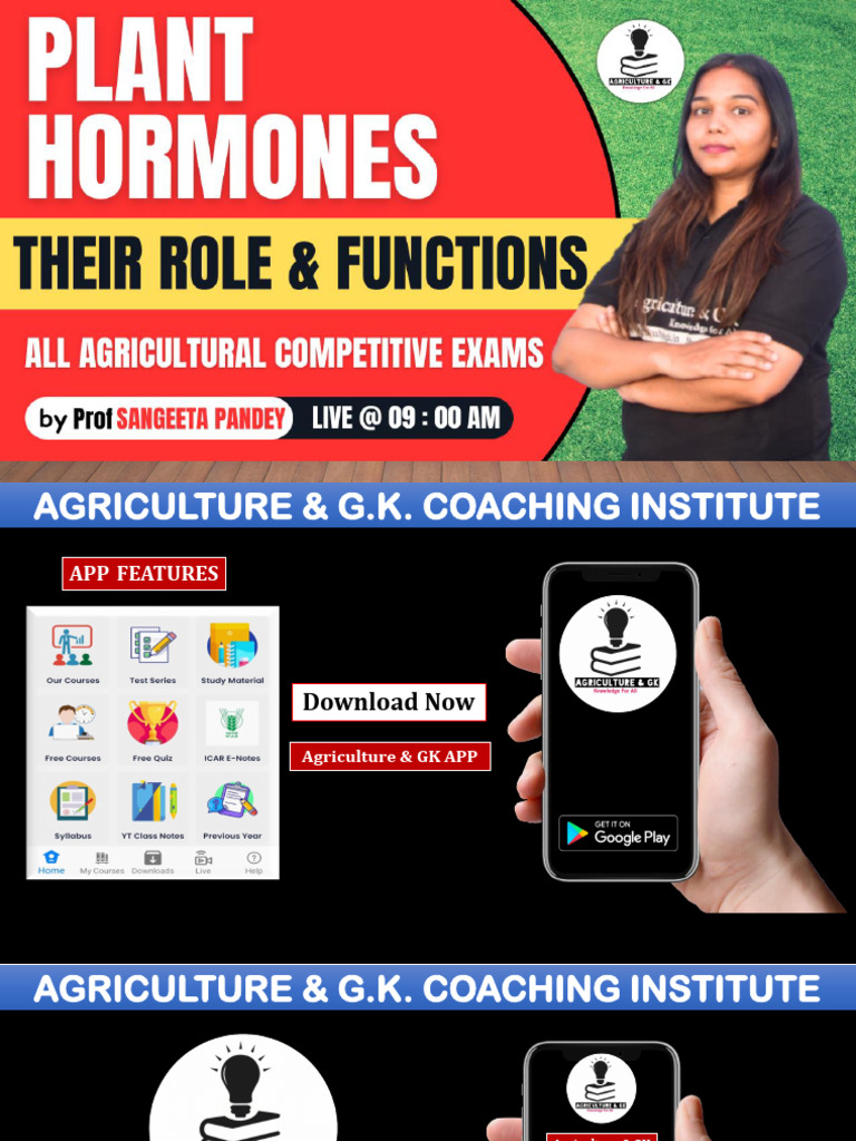 Plant Hormones and Their Functions | PDF | Auxin | Plant Hormone