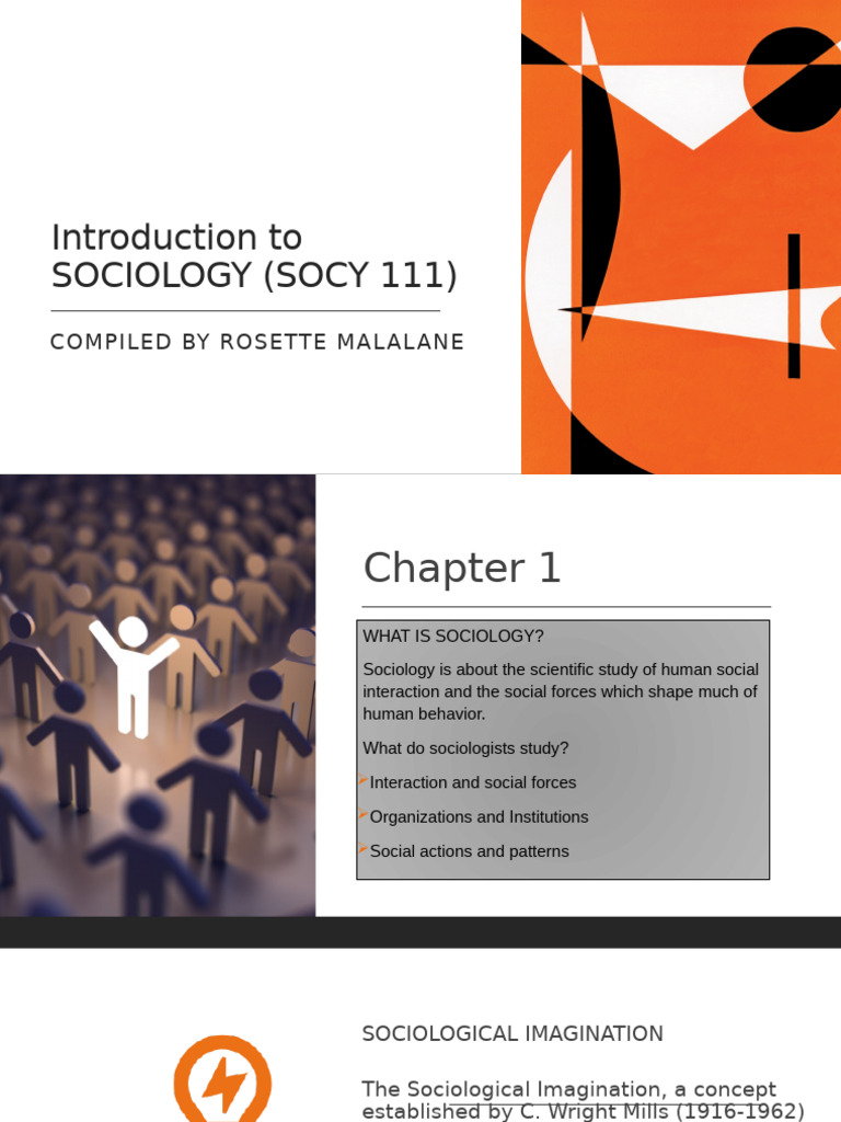 Introduction to Sociology Concepts | PDF | Sampling (Statistics ...