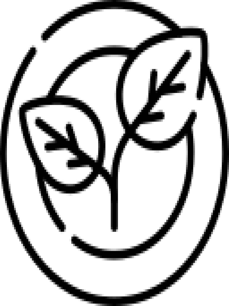 Plant Based | PDF