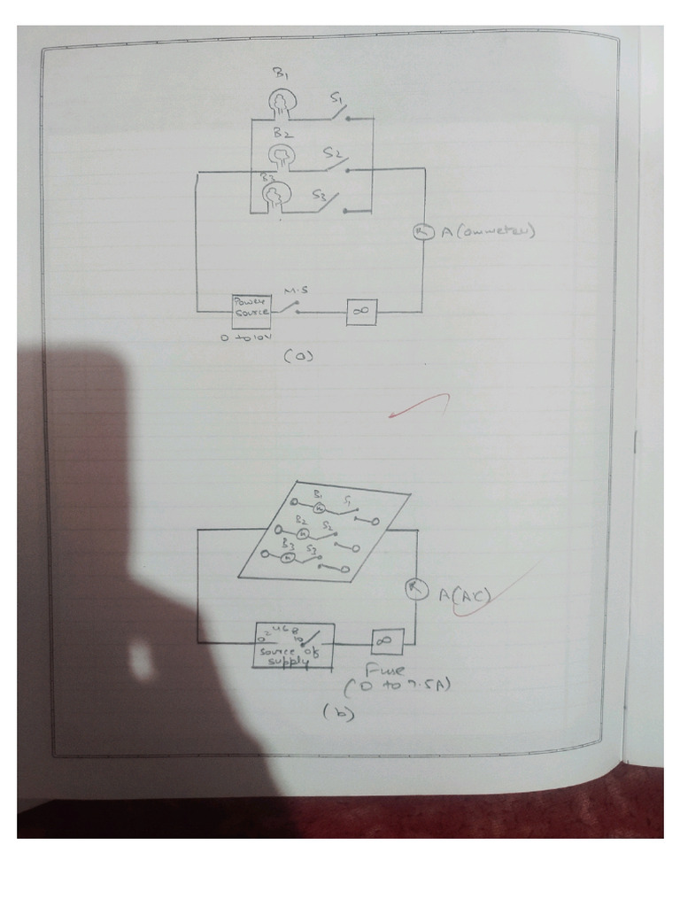 Activity Physics | PDF