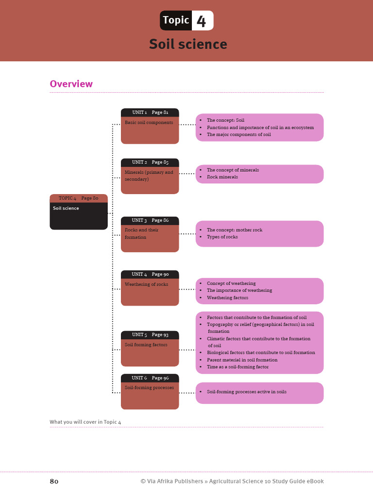 Soil Science: Components and Functions | PDF | Soil | Rock (Geology)