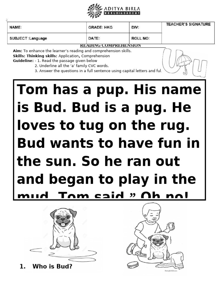 Reading Comprehension 2 | PDF